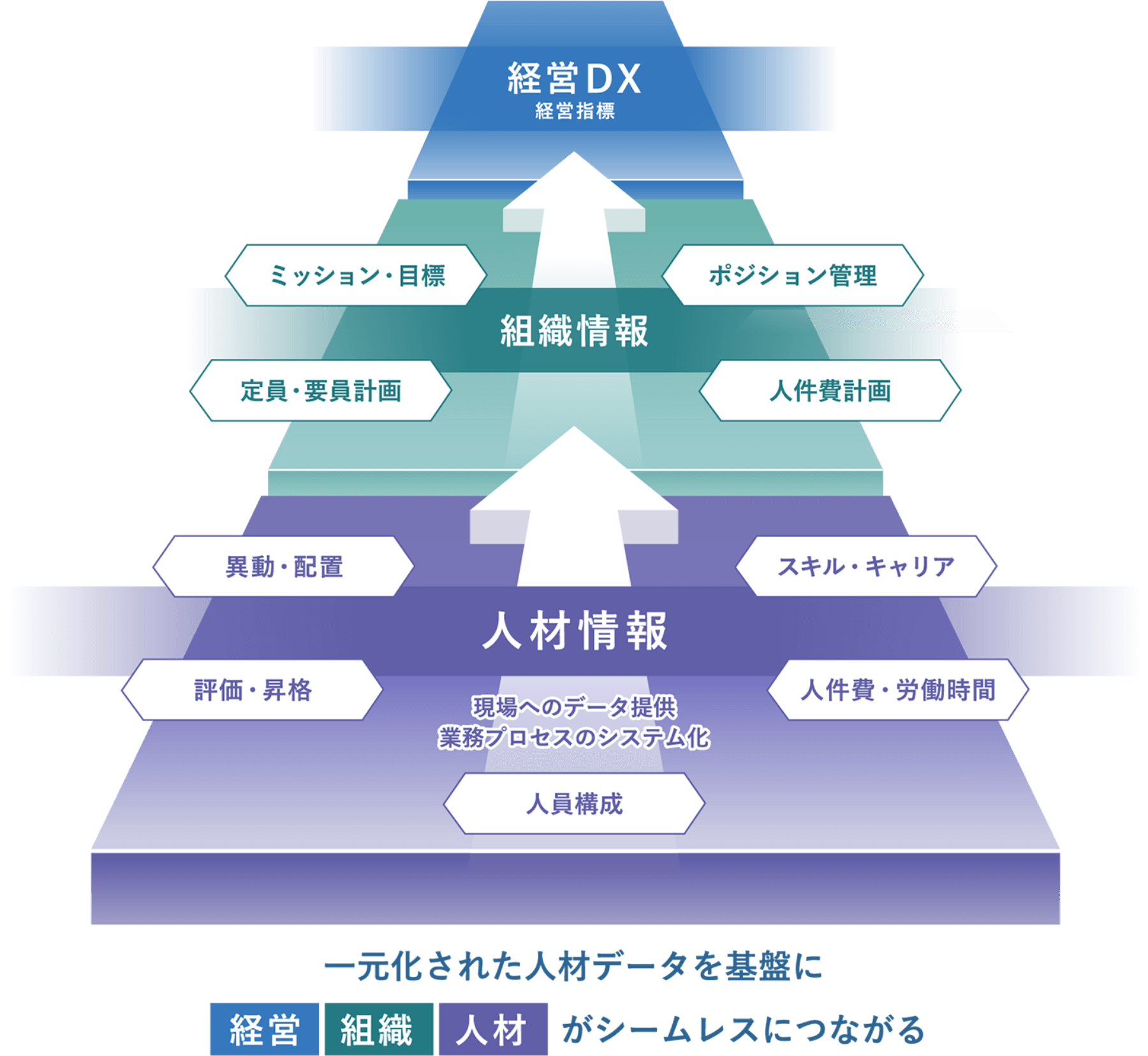 Rosic統合人材情報システム